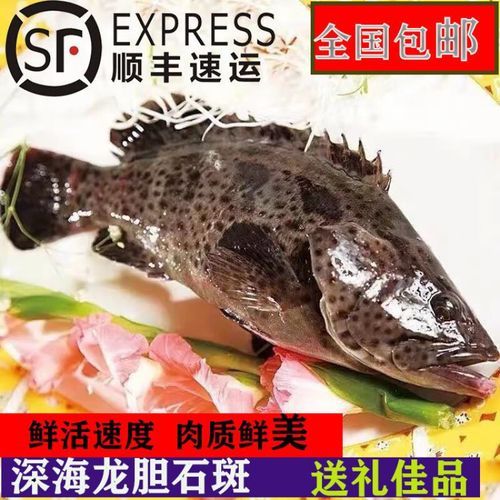 老虎斑和龙胆鱼的区别_哪个更贵更好吃-第1张图片-山城妙识 老虎斑和龙胆鱼的区别_哪个更贵更好吃-第1张图片-山城妙识