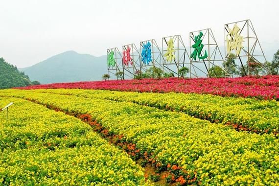 玛琪雅朵花海门票多少钱_玛琪雅朵花海在哪里-第2张图片-山城妙识 玛琪雅朵花海门票多少钱_玛琪雅朵花海在哪里-第2张图片-山城妙识