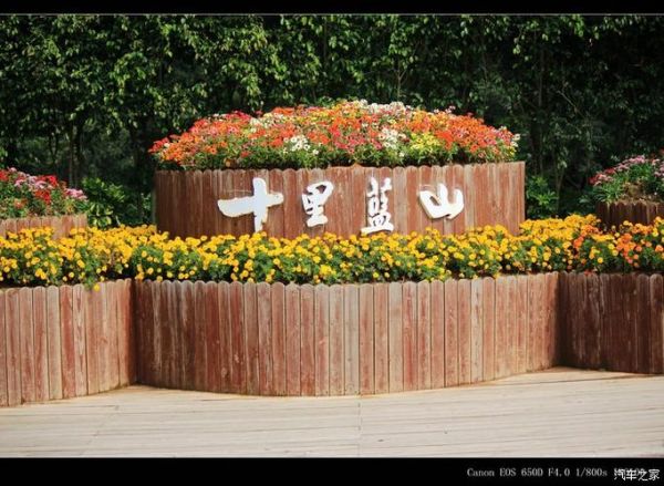 玛琪雅朵花海门票多少钱_玛琪雅朵花海在哪里-第1张图片-山城妙识 玛琪雅朵花海门票多少钱_玛琪雅朵花海在哪里-第1张图片-山城妙识