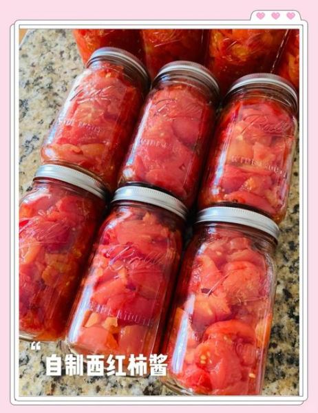 西红柿酱怎么做_家庭自制西红柿酱详细步骤-第3张图片-山城妙识 西红柿酱怎么做_家庭自制西红柿酱详细步骤-第3张图片-山城妙识