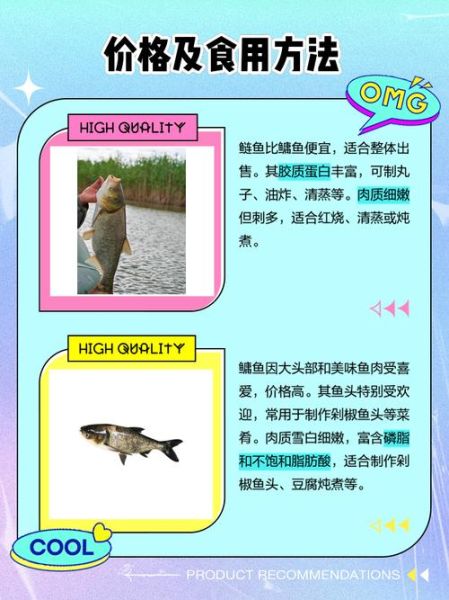 鲢鱼和鲢鳙是一种鱼吗_区别与联系全解析-第2张图片-山城妙识