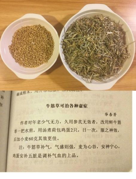 牛筋草煮鸡蛋吃有什么好处_牛筋草鸡蛋的功效与作用-第1张图片-山城妙识 牛筋草煮鸡蛋吃有什么好处_牛筋草鸡蛋的功效与作用-第1张图片-山城妙识