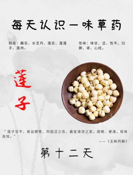 莲子怎么吃最养心安神_莲子功效与主治有哪些-第2张图片-山城妙识 莲子怎么吃最养心安神_莲子功效与主治有哪些-第2张图片-山城妙识