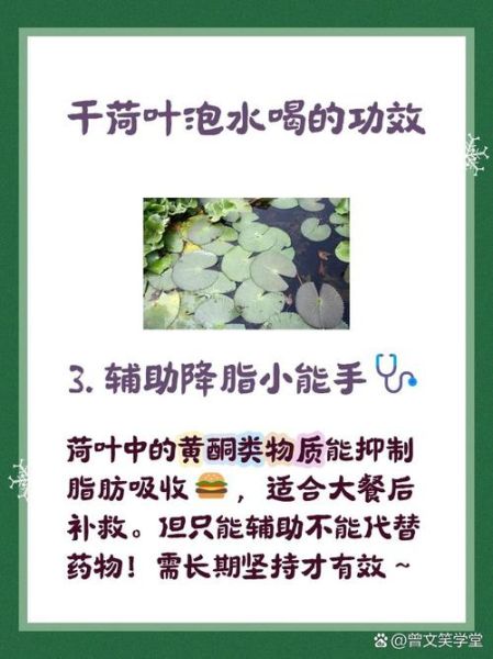 干荷叶的功效与作用_干荷叶泡水能减肥吗-第3张图片-山城妙识 干荷叶的功效与作用_干荷叶泡水能减肥吗-第3张图片-山城妙识