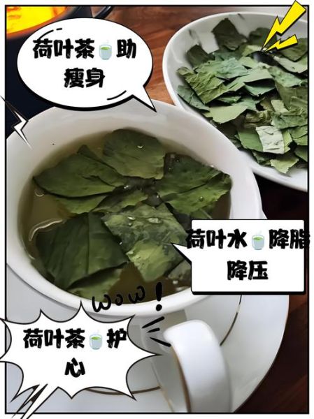 干荷叶的功效与作用_干荷叶泡水能减肥吗-第2张图片-山城妙识 干荷叶的功效与作用_干荷叶泡水能减肥吗-第2张图片-山城妙识