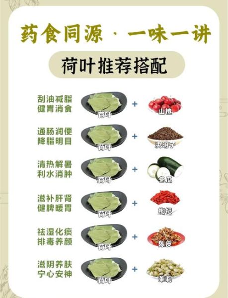 干荷叶的功效与作用_干荷叶泡水能减肥吗-第1张图片-山城妙识 干荷叶的功效与作用_干荷叶泡水能减肥吗-第1张图片-山城妙识