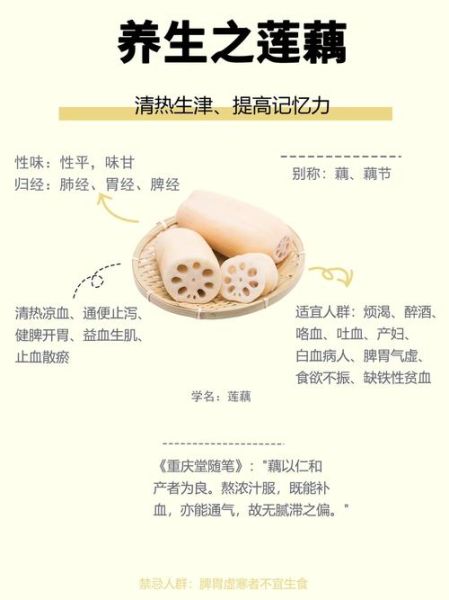 孕妇能吃莲藕吗_莲藕的功效与作用孕妇-第2张图片-山城妙识 孕妇能吃莲藕吗_莲藕的功效与作用孕妇-第2张图片-山城妙识