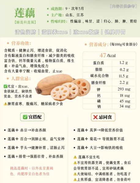 孕妇能吃莲藕吗_莲藕的功效与作用孕妇-第1张图片-山城妙识 孕妇能吃莲藕吗_莲藕的功效与作用孕妇-第1张图片-山城妙识