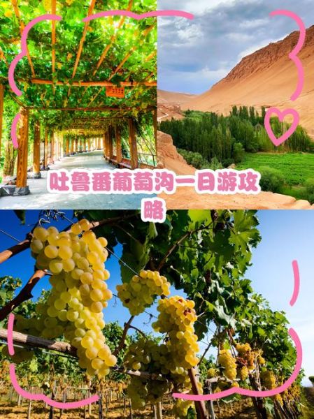 葡萄沟在哪里_葡萄沟有什么特色-第2张图片-山城妙识 葡萄沟在哪里_葡萄沟有什么特色-第2张图片-山城妙识