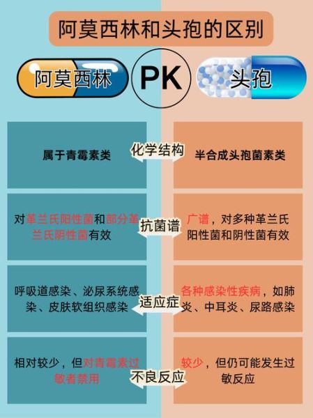 阿莫西林和头孢功效一样吗_区别在哪-第1张图片-山城妙识 阿莫西林和头孢功效一样吗_区别在哪-第1张图片-山城妙识