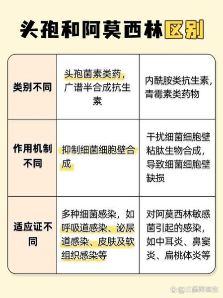 阿莫西林和头孢功效一样吗_区别在哪-第3张图片-山城妙识 阿莫西林和头孢功效一样吗_区别在哪-第3张图片-山城妙识