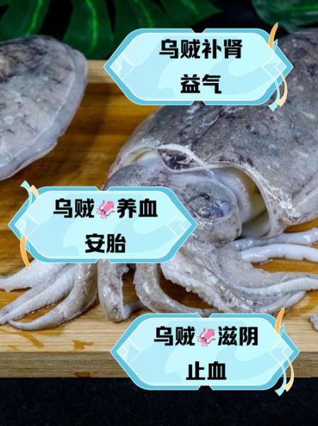 乌贼的营养价值有哪些_乌贼和鱿鱼营养区别-第1张图片-山城妙识 乌贼的营养价值有哪些_乌贼和鱿鱼营养区别-第1张图片-山城妙识