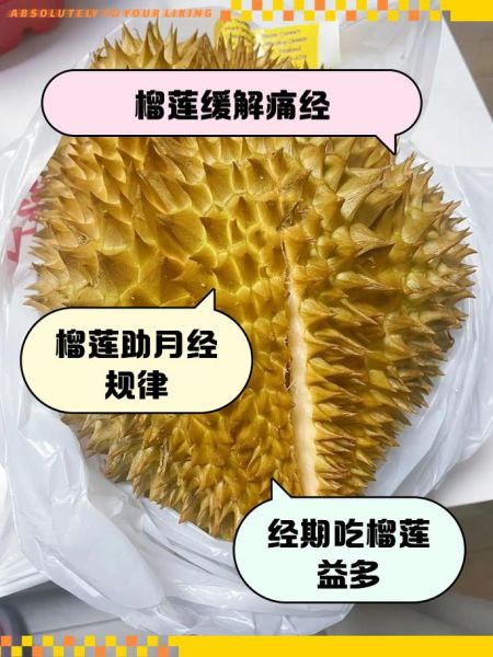 女人吃榴莲的好处_榴莲对女性的功效与作用-第3张图片-山城妙识 女人吃榴莲的好处_榴莲对女性的功效与作用-第3张图片-山城妙识