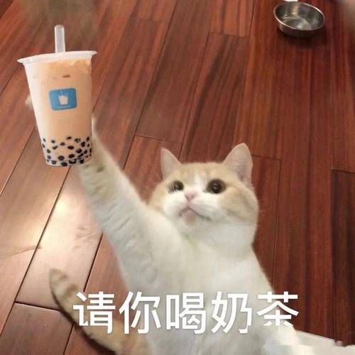 珍珠奶茶表情包怎么保存_珍珠奶茶表情包有哪些-第2张图片-山城妙识 珍珠奶茶表情包怎么保存_珍珠奶茶表情包有哪些-第2张图片-山城妙识