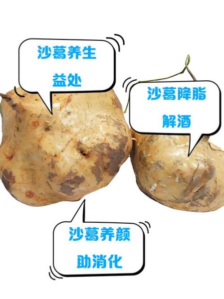 沙葛可以生吃吗_生吃沙葛安全吗-第1张图片-山城妙识 沙葛可以生吃吗_生吃沙葛安全吗-第1张图片-山城妙识