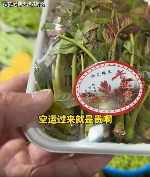 香椿芽多少钱一斤_香椿芽价格走势-第2张图片-山城妙识 香椿芽多少钱一斤_香椿芽价格走势-第2张图片-山城妙识