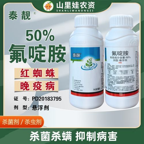 马铃薯晚疫病防治方法_马铃薯晚疫病用什么药-第1张图片-山城妙识 马铃薯晚疫病防治方法_马铃薯晚疫病用什么药-第1张图片-山城妙识