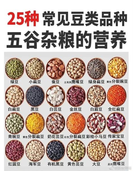豆类图片怎么识别_常见豆类种类有哪些-第3张图片-山城妙识 豆类图片怎么识别_常见豆类种类有哪些-第3张图片-山城妙识