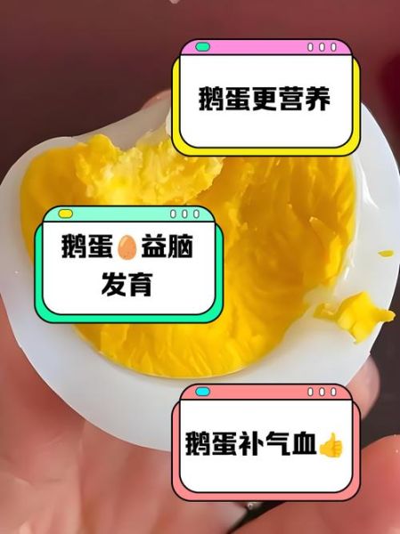 鹅蛋的营养价值有哪些_鹅蛋和鸡蛋哪个更营养-第3张图片-山城妙识