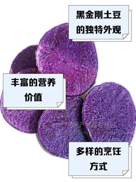 黑金刚土豆怎么吃_黑金刚土豆做法大全-第1张图片-山城妙识