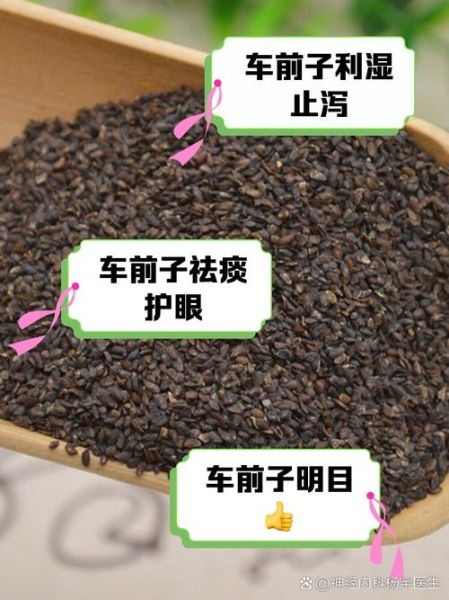 车前子功效与作用_车前子怎么吃最好-第2张图片-山城妙识 车前子功效与作用_车前子怎么吃最好-第2张图片-山城妙识