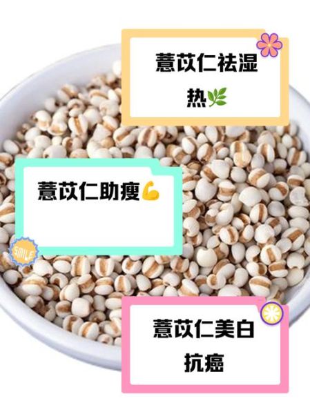 薏米仁连续吃多久去湿_多久见效-第2张图片-山城妙识 薏米仁连续吃多久去湿_多久见效-第2张图片-山城妙识