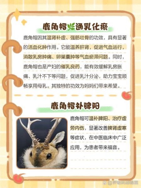 鹿角的功效与作用_鹿角怎么吃效果最好-第3张图片-山城妙识 鹿角的功效与作用_鹿角怎么吃效果最好-第3张图片-山城妙识