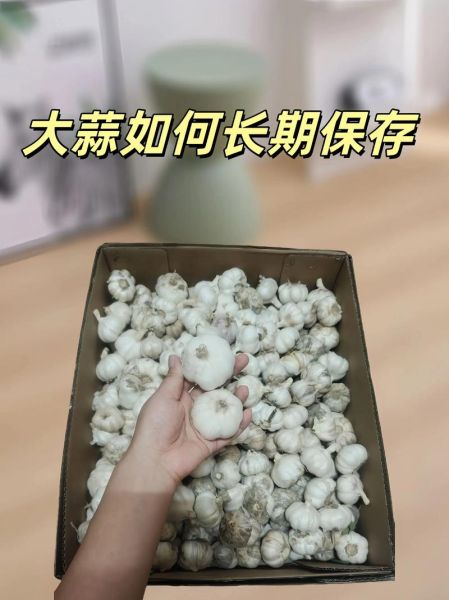 小蒜怎么保存不发芽_小蒜和蒜苗的区别-第1张图片-山城妙识