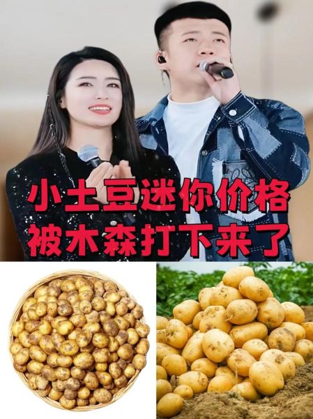 土豆视频最新版下载安装_土豆视频怎么更新到最新版-第2张图片-山城妙识