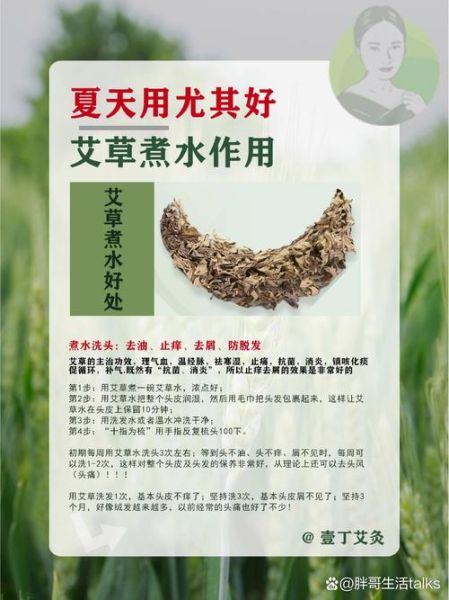 艾叶煮水的正确方法_艾叶煮水有什么功效-第1张图片-山城妙识