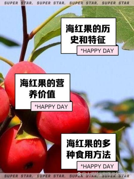 海红果的功效与作用_海红果怎么吃最好-第2张图片-山城妙识