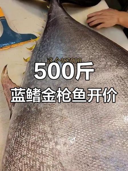 金枪鱼价格多少钱一斤_影响金枪鱼价格的因素-第1张图片-山城妙识