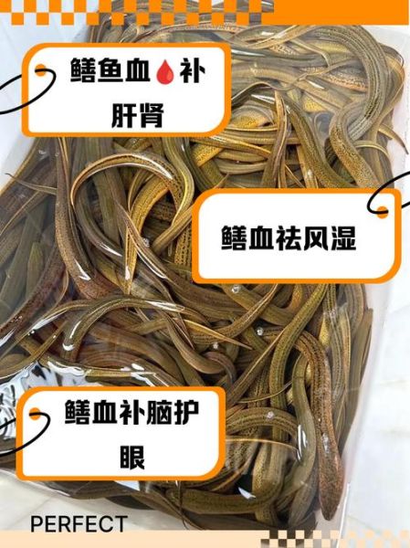 血鳝鱼怎么做好吃_血鳝鱼营养价值有哪些-第2张图片-山城妙识