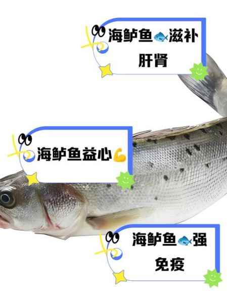 海鲈鱼的营养价值_海鲈鱼的禁忌人群-第1张图片-山城妙识