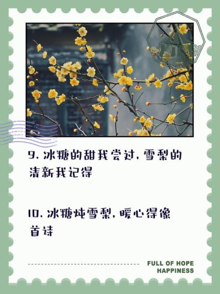 冰糖炖雪梨励志句子有哪些_如何用于作文-第3张图片-山城妙识