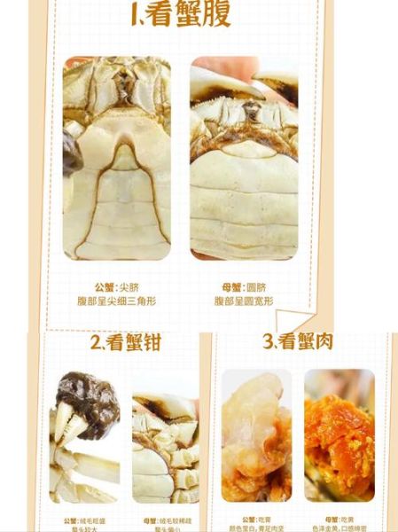 毛蟹的毛怎么处理_毛蟹清洗去毛技巧-第3张图片-山城妙识