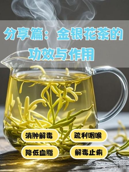 金银花茶有什么功效_金银花茶怎么喝才有效-第1张图片-山城妙识