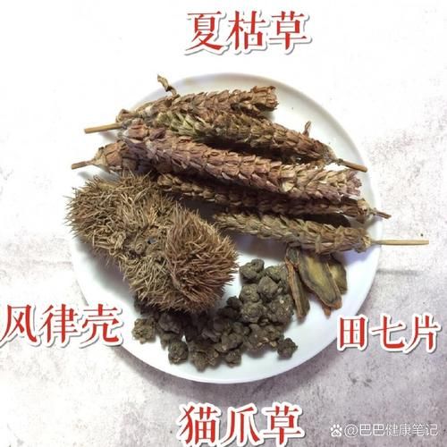 猫爪草散结一周喝几次_猫爪草散结茶正确喝法-第1张图片-山城妙识