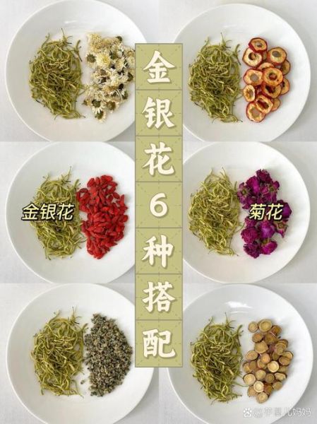 金银花茶有什么功效_金银花茶怎么喝才有效-第3张图片-山城妙识