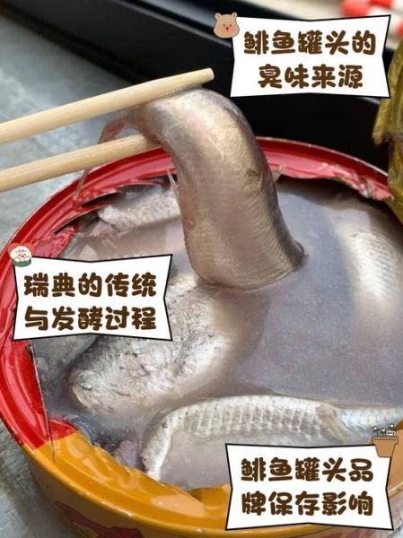 鲱鱼罐头对人体有害吗_鲱鱼罐头吃多了会怎样-第3张图片-山城妙识