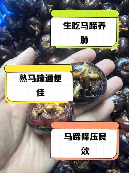 马蹄怎么吃最好_马蹄生吃还是熟吃-第2张图片-山城妙识
