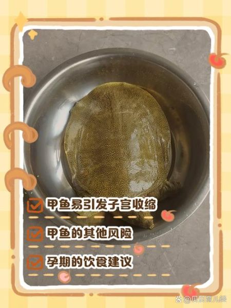 甲鱼哪些人不能吃_孕妇可以吃甲鱼吗-第1张图片-山城妙识