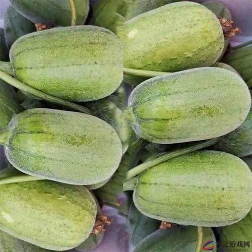 草莓丝瓜向日葵黄瓜榴莲污_如何正确清洗-第3张图片-山城妙识