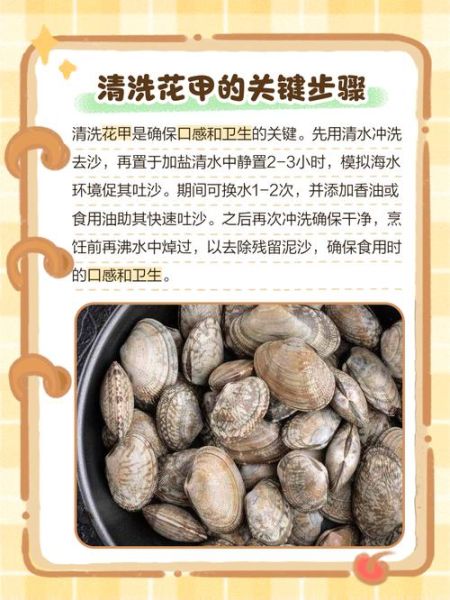 花甲螺怎么清洗_花甲螺清洗技巧-第3张图片-山城妙识 花甲螺怎么清洗_花甲螺清洗技巧-第3张图片-山城妙识