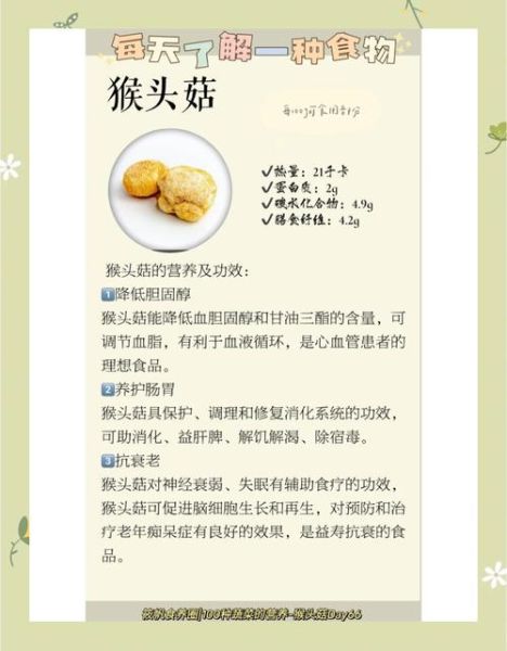 猴头菇的功效与作用及禁忌是什么_哪些人不能吃-第2张图片-山城妙识