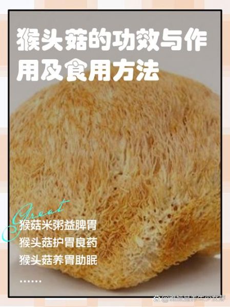 猴头菇的功效与作用及禁忌是什么_哪些人不能吃-第1张图片-山城妙识