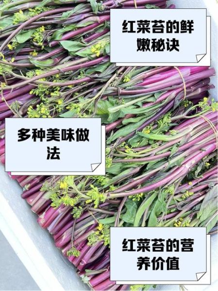 红菜苔怎么择菜_红菜苔择菜技巧-第2张图片-山城妙识