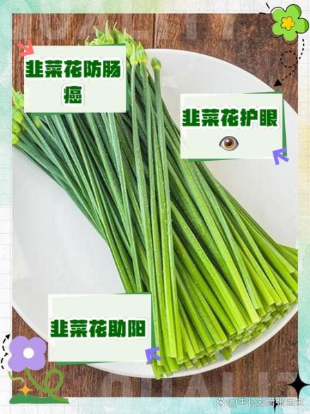 韭菜花和韭菜哪个营养_韭菜花与韭菜营养价值对比-第1张图片-山城妙识