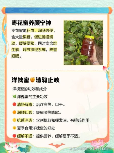 长期喝枣花蜜还是槐花蜜好_哪个更适合天天喝-第3张图片-山城妙识 长期喝枣花蜜还是槐花蜜好_哪个更适合天天喝-第3张图片-山城妙识
