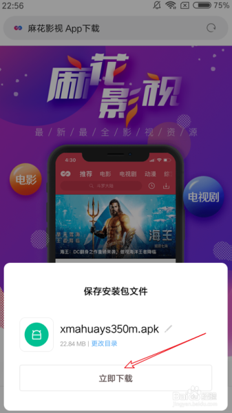 麻花电影下载app安全吗_麻花电影下载app怎么用-第1张图片-山城妙识